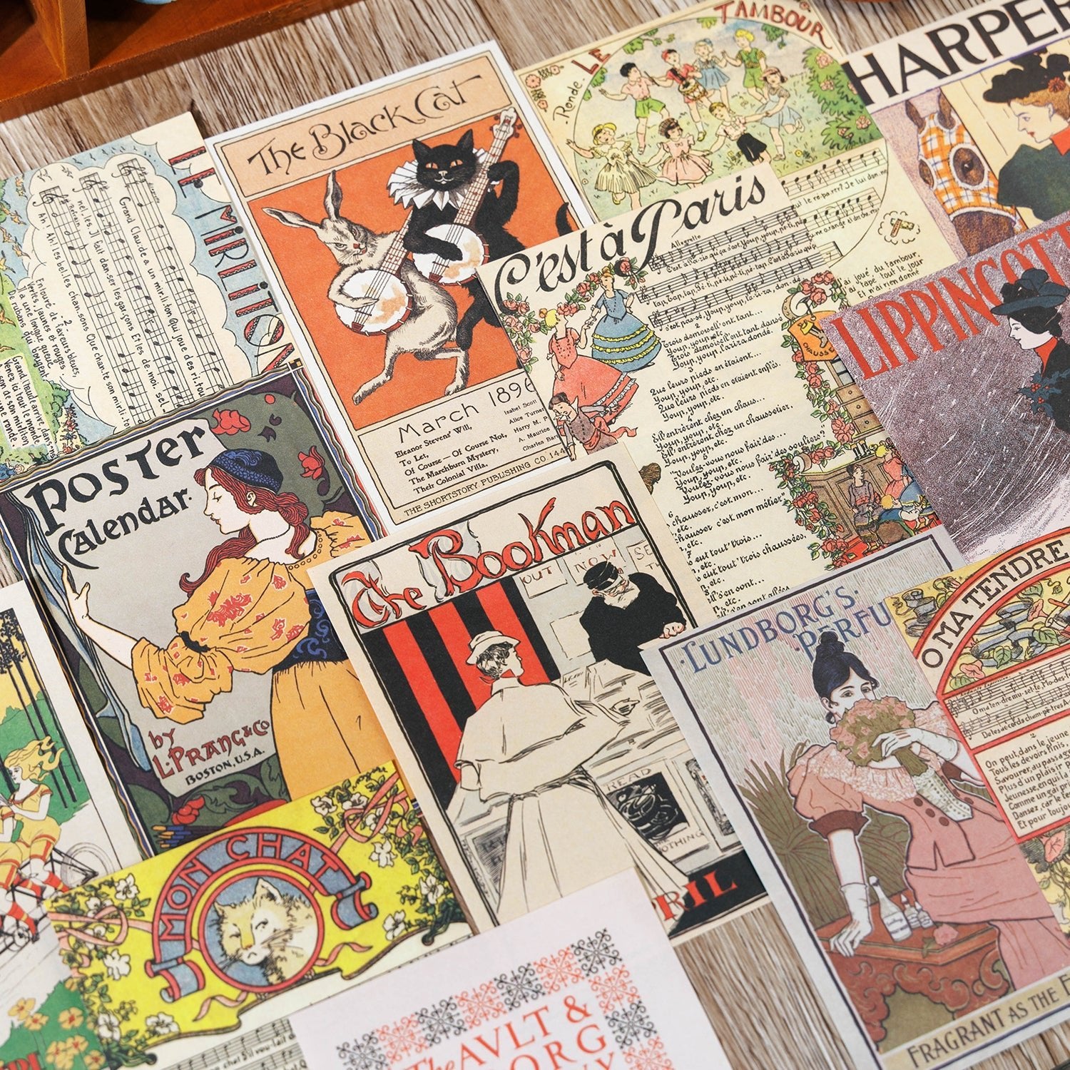 The Story Of Lacey Series Scrapbook Paper, Junk Journal Paper, Collage ...