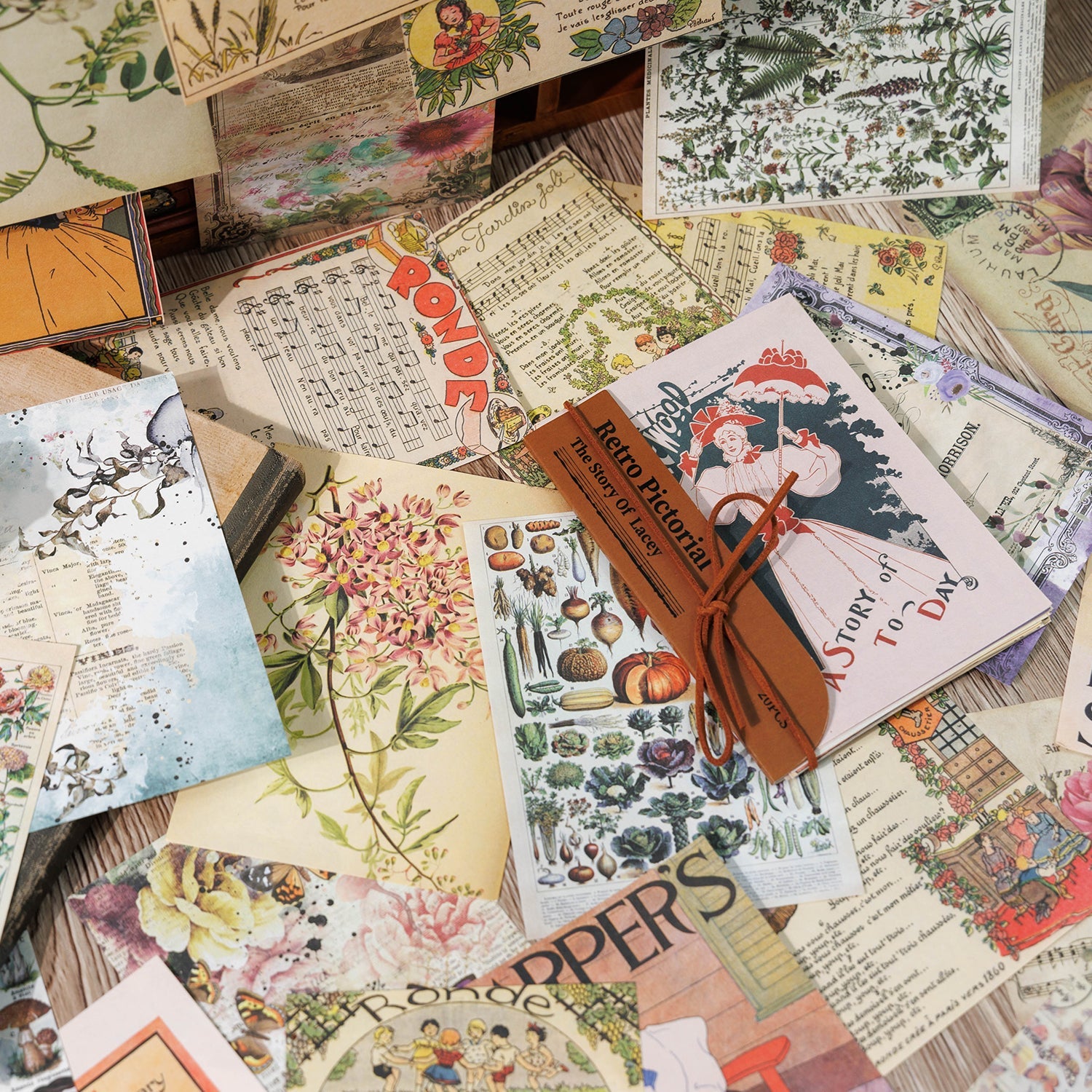 The Story Of Lacey Series Scrapbook Paper, Junk Journal Paper, Collage ...